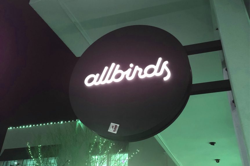 More Than Shoes: Allbirds Founders Brown & Zwillinger Make a Difference